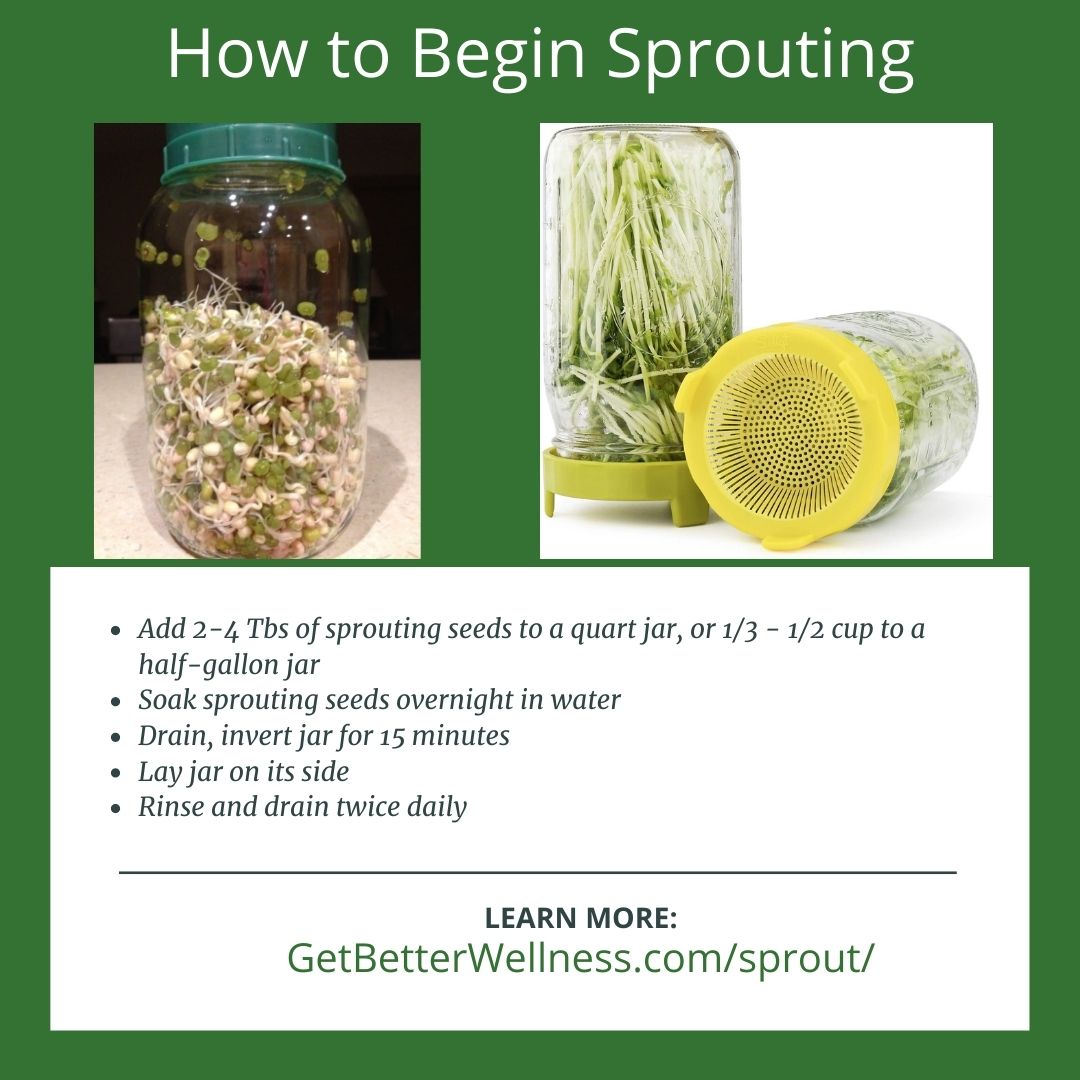 Sprouting 101 | Get Better Wellness