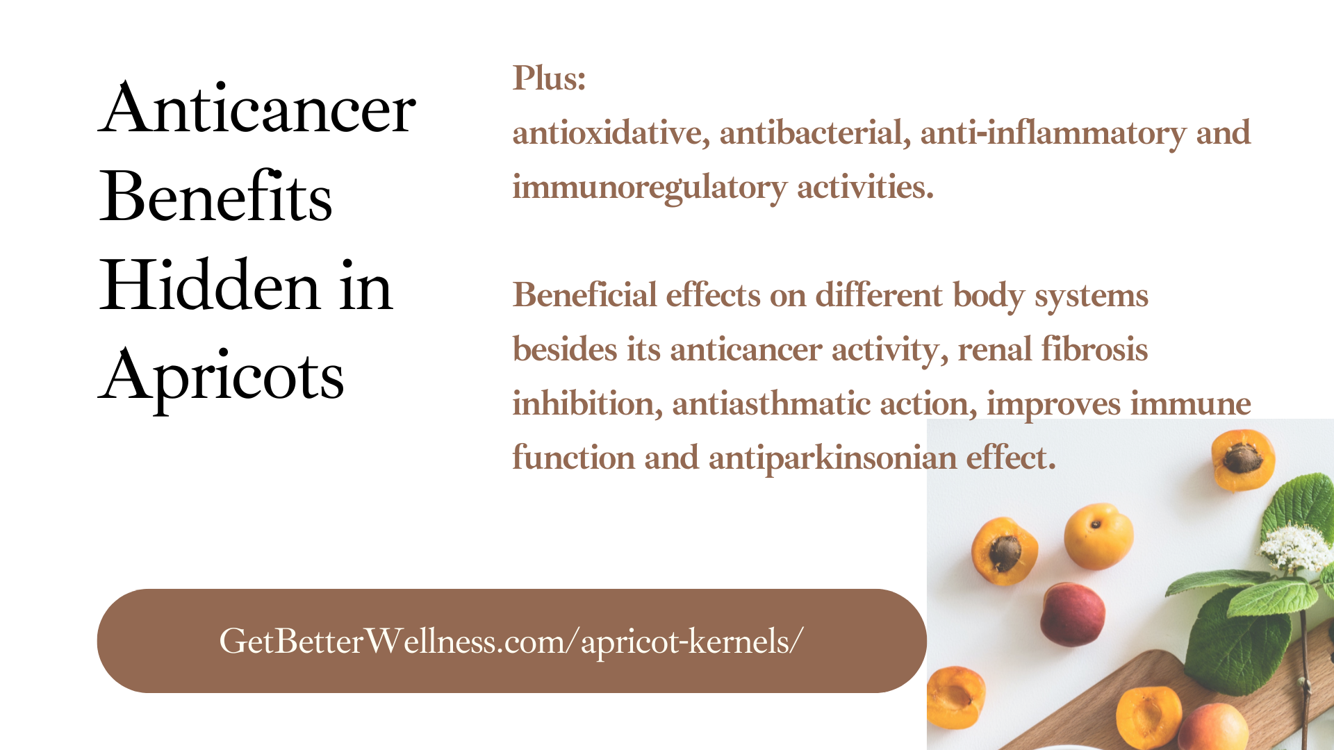 Do Apricot Seeds Have Health Benefits and Anticancer Benefits? | Get ...